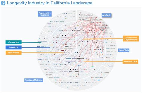 deep knowledge group on linkedin deep knowledge ventures longevity