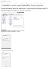 Raptor Assignment 1 3 Docx Raptor Assignment 1 This Will Go Over How