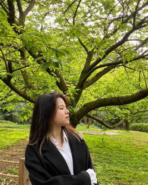 Orbiter Finance Là Gì Cầu Nối Chuyên Dụng Dành Cho Các Layer 2