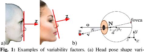 figure 1 from a differential approach for gaze estimation semantic