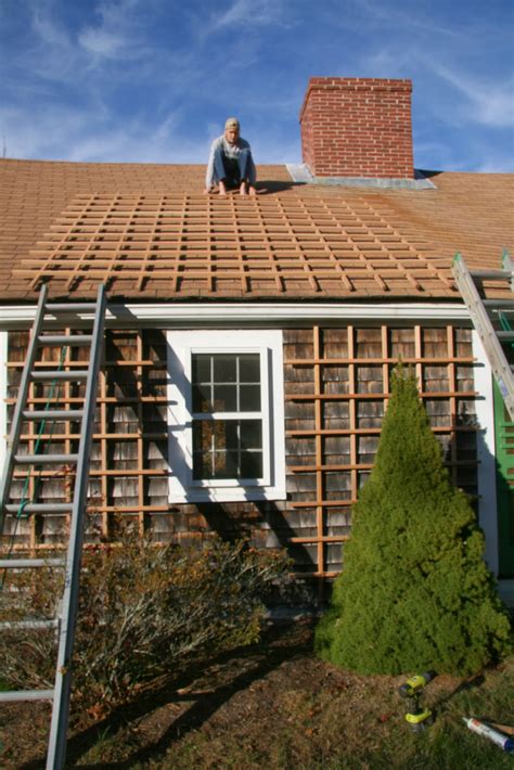 An Old Farm Building A Trellis