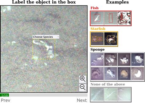 frontiers an iterative labeling method for annotating marine life imagery