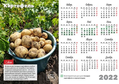 Лунный Календарь Стрижек 2019 63 фото