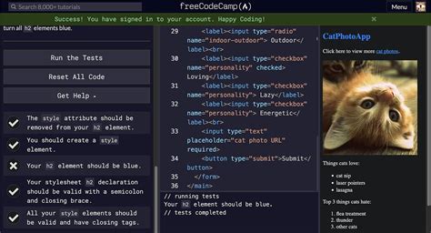 someone please help me i m losing it html css the freecodecamp forum