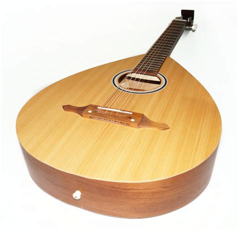 Acoustic 12 String Lute Folk Guitar Kobza Vihuela Ukraine Etsy