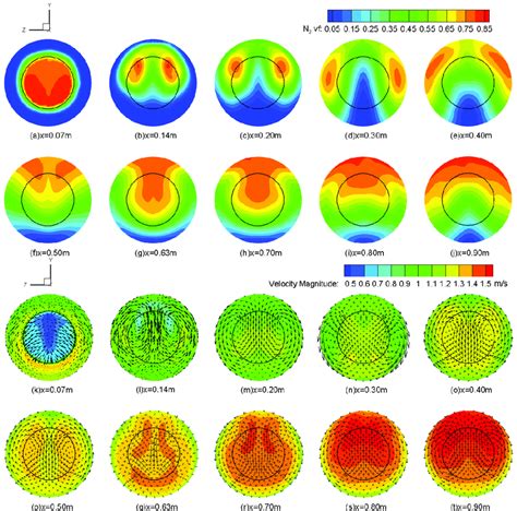 The Distributions Of The Nitrogen Volume Fraction And Velocity Of Ten