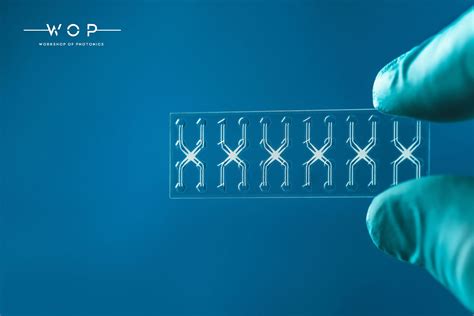 Selective Laser Etching Ultrafast Laser Irradiation Selective
