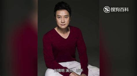 刘锡明 中国香港男演员 搜狗百科