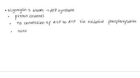 Solved Oligomycin Inhibits Atp Synthase Blocking The Movement Of