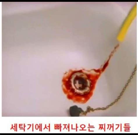 더쿠 [반전주의] 패트와 매트 결말 