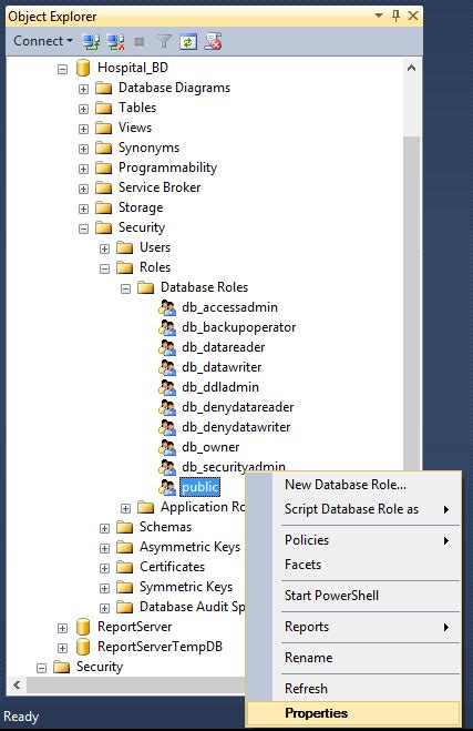 Ingeniería Systems Permisos Y Usuarios En Sql Server 1 De 2