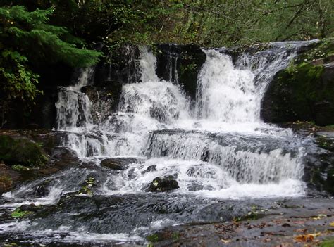 Alsea Falls Trail Or • Hike