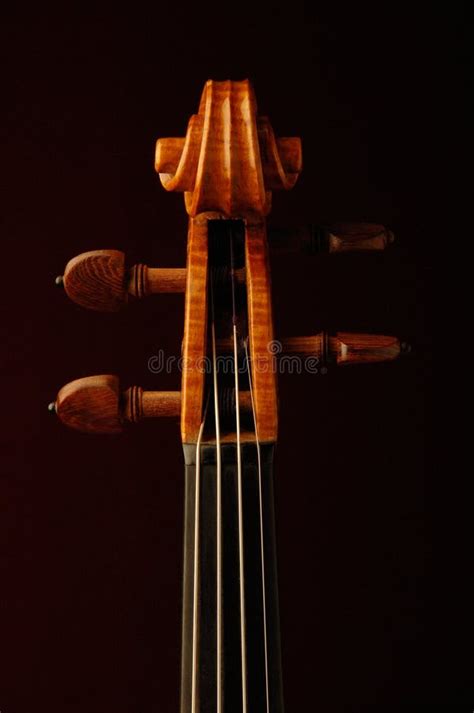 New Violin Fiddle Scroll Isolated On Dark Reddish Background Stock Photo Image Of Dark Scroll