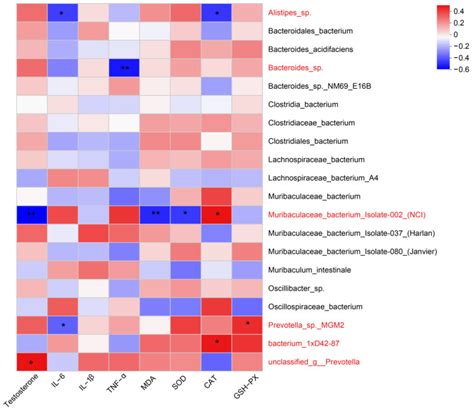 Toxicity To The Male Reproductive System After Exposure To Polystyrene