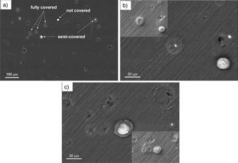 Sem Illustration Bse Micrographs Of The Peek Substrate Surface After
