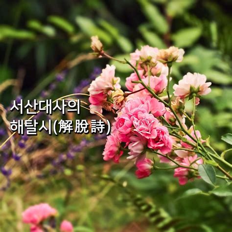 마음좋은글 좋은글 감동글 명언 모음 Band