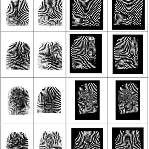 Examples Of Mixing Fingerprint Pairs From The Wvu Dataset Download Scientific Diagram