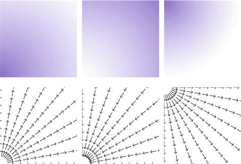 Measures And Applications To Multimodal Variational Imaging Radiology Key