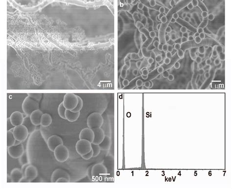 Figure 1 From Amorphous Sio2 Nanoparticles Grown On The Surface Of The