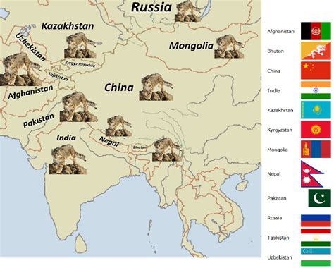 Where Do Leopards Live Map