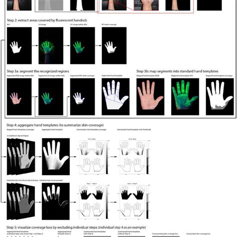 Our Computational System Steps 1 To 3 Were Repeated For Each Image