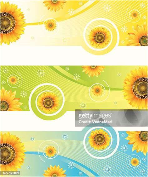 Single Color Gradient Background High Res Illustrations Getty Images