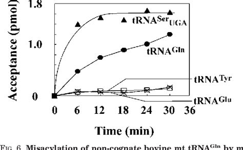 Figure 1 From Dual Mode Recognition Of Two Isoacceptor Trnas By Mammalian Mitochondrial Seryl