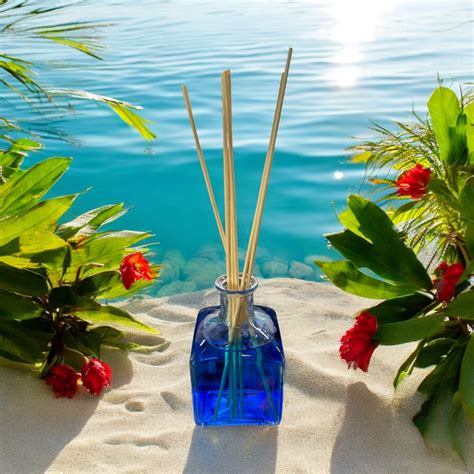 Reed Diffusers Large With Wood Reeds Variable Scents Wicked Redhead