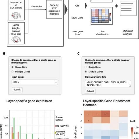 Heatmap Visualization Of The Laminargenevis Enrichment Auc Values For Download Scientific