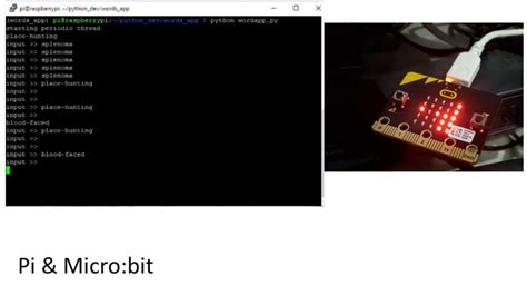 Pi Microbit YouTube