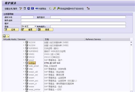 启用sap gui for html csdn博客