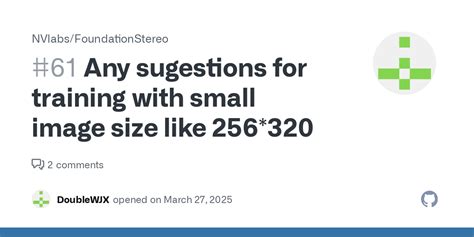 Any Sugestions For Training With Small Image Size Like Issue NVlabs