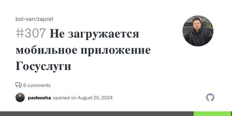 Не загружается мобильное приложение Госуслуги Issue bol van zapret GitHub