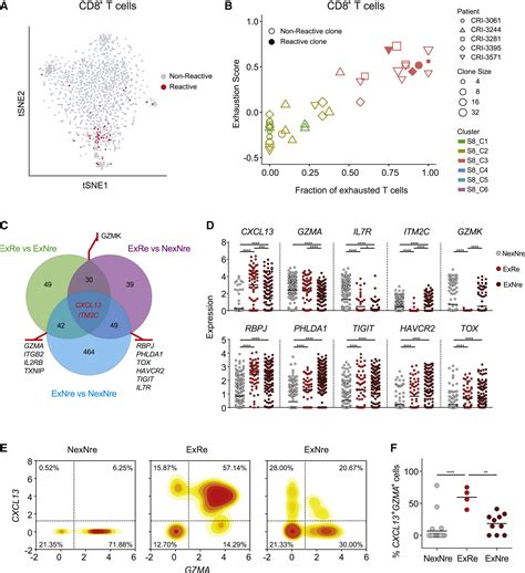 Transcriptomic Profiles Of Neoantigen Reactive T Cells In Human Gastrointestinal Cancers Cancer