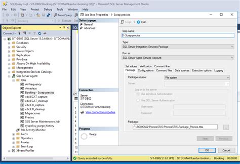 sql execute c console application with selenium from ssis stack
