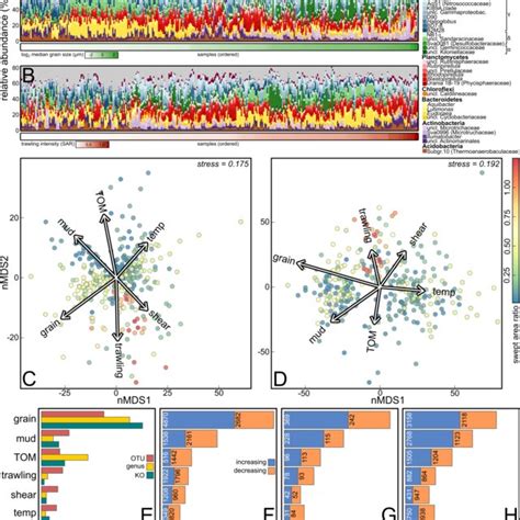 Composition And Patterns In Benthic Microbiota Stacked Bar Plots Of Download Scientific
