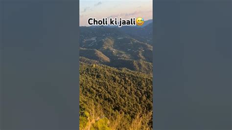 Choli Ki Jaali 🤣 Mukteshwarvlog Shorts Tranding Viralvideo Greenscreen Nature Apache
