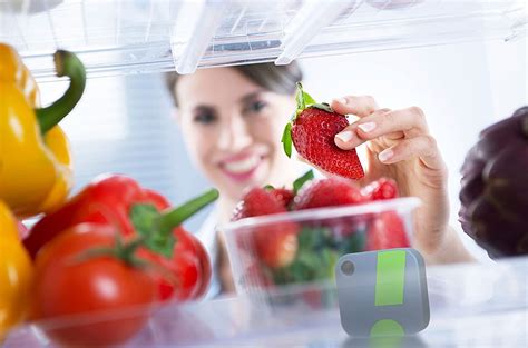 SensorPush HT Sensor Inalámbrico de Temperatura y Humedad Smart Eco Sensors