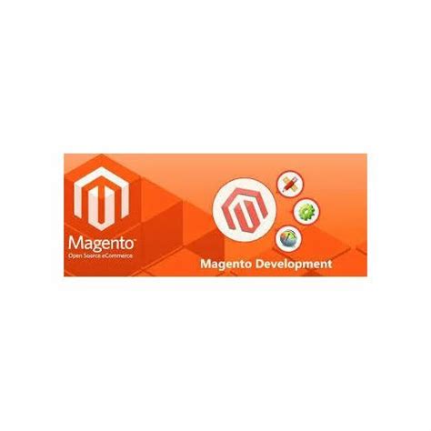 Magento Web Development Service At ₹ 30000website In New Delhi Id 19247103662
