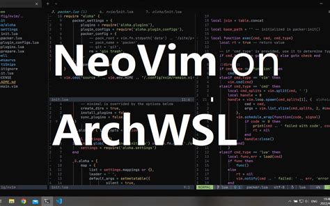 【wsl neovim】wsl 演示 neovim 配置安装。 哔哩哔哩