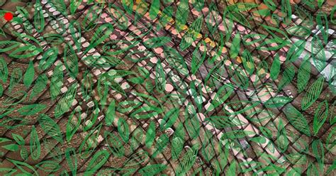 [round 122078] Please Give Me The Coordinates Of The Red Dot And The