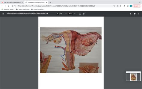 Lab 11 Model 9 Diagram Quizlet