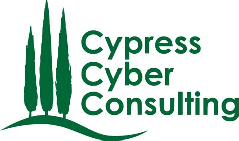 Cyber Consulting Services Cybersecurity Advising In Usa