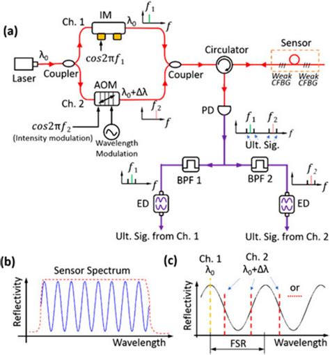 Schematics Illustrating The Principle Of Operation A System Download Scientific Diagram
