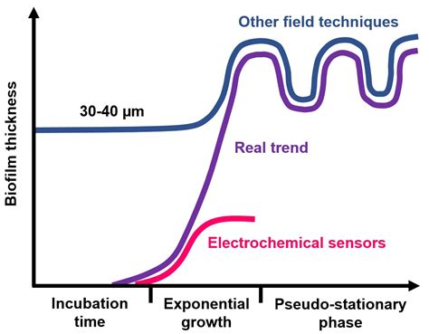 Electrochemical Sensors Detect Biofilm Earlier Than Other Tools