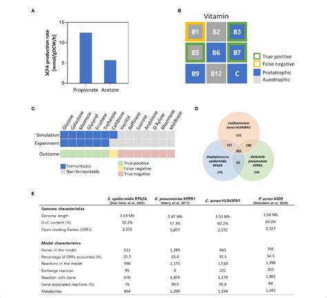 Qualitative Model Validation And Comparison With Other Gems
