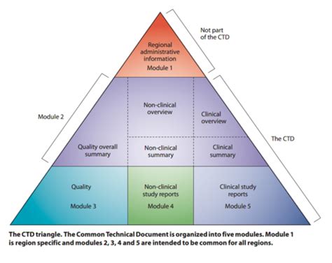 Marketing Authorisations Flashcards Quizlet