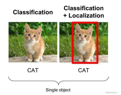 目标检测（object detection）