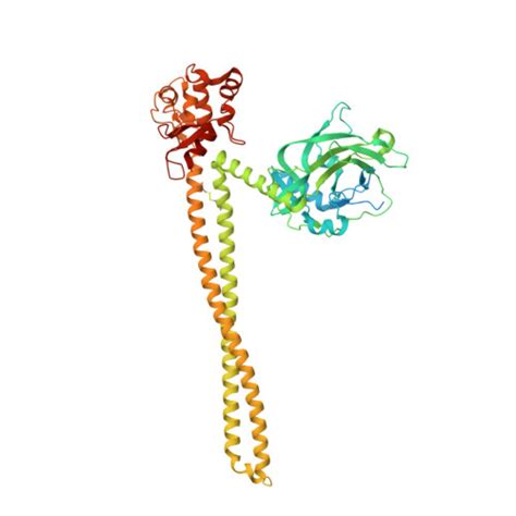 Rcsb Pdb 5ew5 Crystal Structure Of Colicin E9 In Complex With Its Immunity Protein Im9