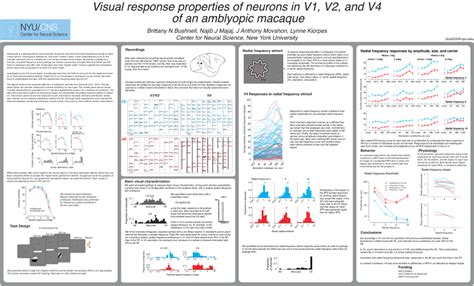 Pdf Center For Neural Science Visual Response Properties Of Neurons In V1 V2 And V4 Of An